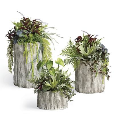 Outdoor Mixed Greenery Root Garden | Frontgate