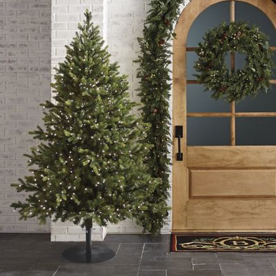 Norway Spruce Full Profile Outdoor Tree | Frontgate