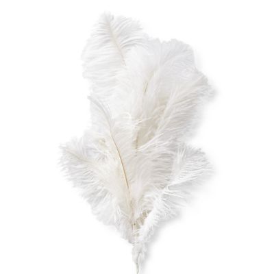 Multi-plume Feather Stem, Set of Six | Frontgate