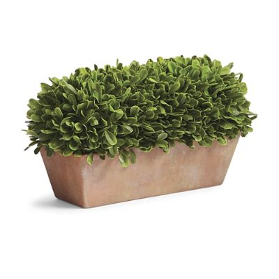 Outdoor Rectangular Boxwood Topiary | Frontgate