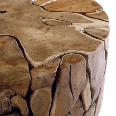 Root Coffee Table with Natural Teak & Authentic Tree Root Design