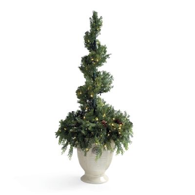 Cypress Topiary Tree | Frontgate