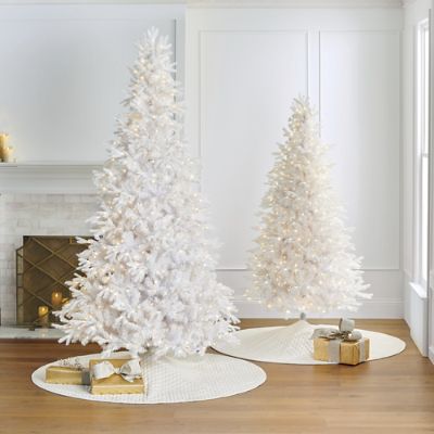 Pure White Fir Full Profile Tree | Frontgate