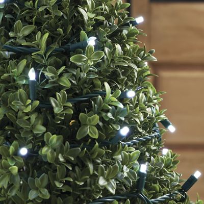 Dynamic LED 50 Light Set | Frontgate