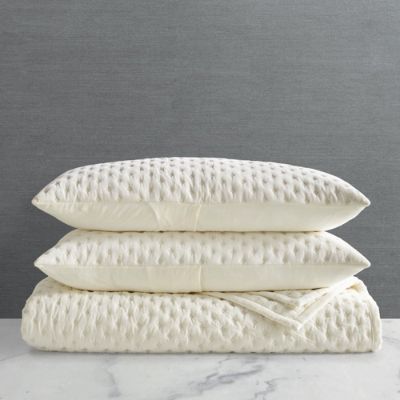 Rumi Velvet Quilted Bedding Set with Sateen Back & Sham Envelope Closure