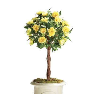 Peony Bush Topiary | Frontgate