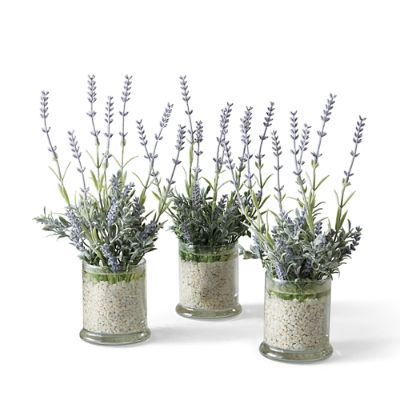Lavender Branches in Glass Jars, Set of Three | Frontgate