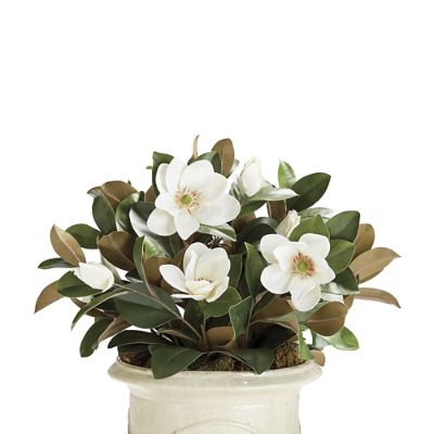 Magnolia Urn Filler | Frontgate