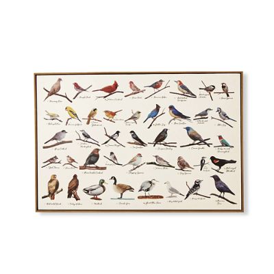 Magnetic Bird Watching Map | Frontgate