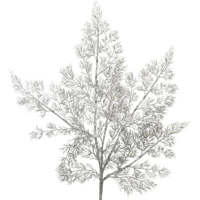 Cypress Stems, Set of Six | Frontgate