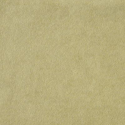 Citron Velvet Fabric | Frontgate