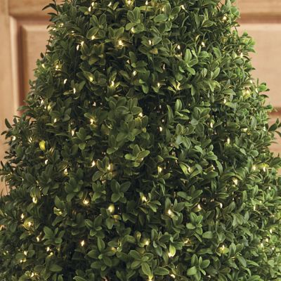 Flashing Micro LED Cascading Light Strand | Frontgate