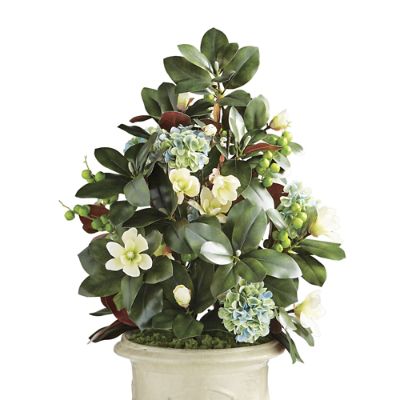 Magnolia Crabapple Shrub | Frontgate