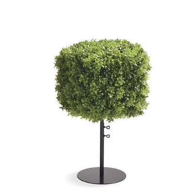 Outdoor Boxwood Cube Topiaries | Frontgate