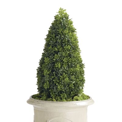 Outdoor Boxwood Pear Topiary with UV Protection for Indoor/Outdoor Use
