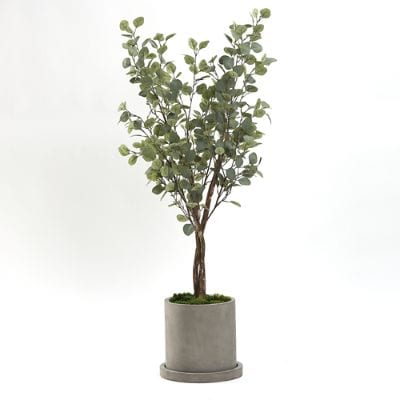 5ft Silver Dollar Tree in Marta Pot with Faux Moss & Lifelike Greenery ...