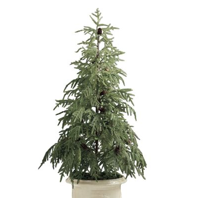 LED Norfolk Pine 5 ft Potted Tree | Frontgate