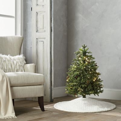 3-ft. Hyde Park Pathway Trees, Set of Two | Frontgate