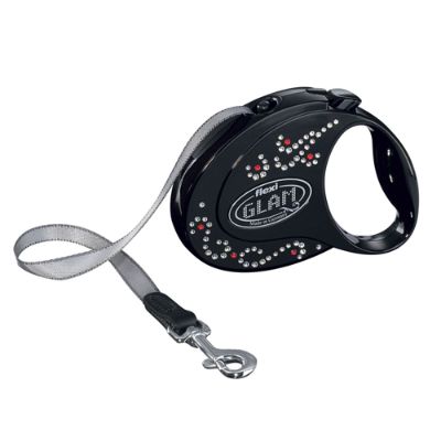 Retractable Dog Leash | Frontgate