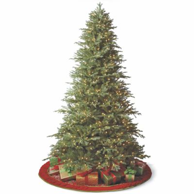 White Fir Christmas Tree | Frontgate