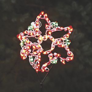 Lighted Poinsettia 3-ft. Outdoor Display | Frontgate