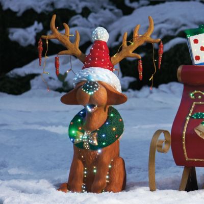 Fiber Optic 'Reindog' Figure | Frontgate