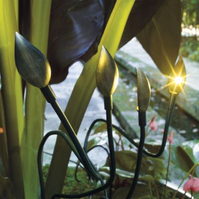 Solar Planter Spotlight | Frontgate