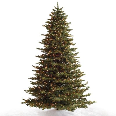 Noble Fir Christmas Tree | Frontgate