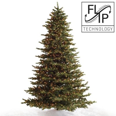 Noble Fir Christmas Tree | Frontgate