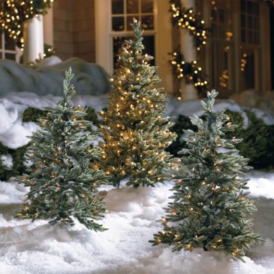 Set of Two 3' Frosted Alpine Pathway Trees | Frontgate