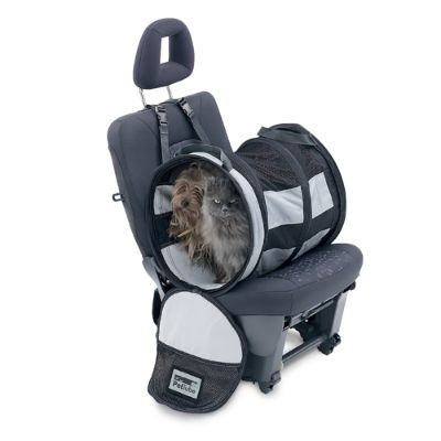 Portable Tubular Car Kennel | Frontgate