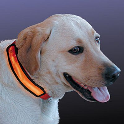 LED Lighted Dog Collar Sleeve | Frontgate