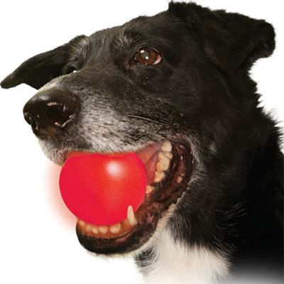 K9 LED Lighted Dog Ball | Frontgate