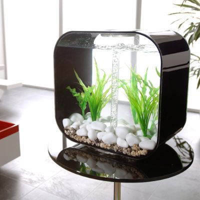 BiOrb Life 8-gallon Aquarium | Frontgate
