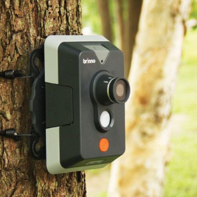 Bird Watching Camera | Frontgate