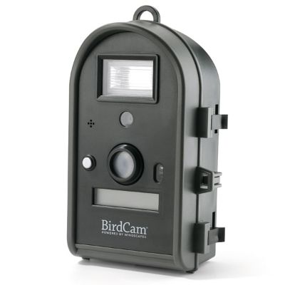 Bird Cam 2.0 | Frontgate