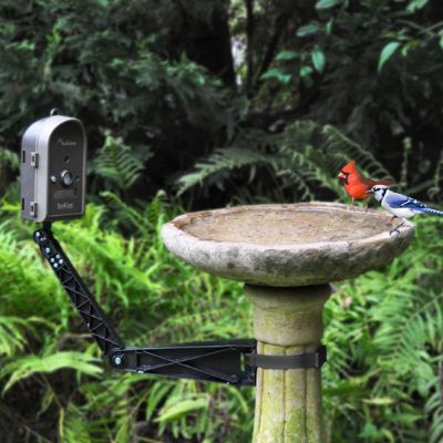 Pro Bird Camera | Frontgate