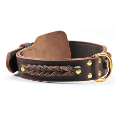 Braided Heaven Dog Collar | Frontgate