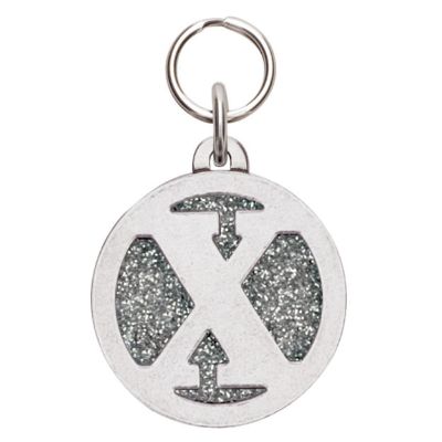 Sparkle Pewter Initial Dog Tag | Frontgate