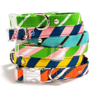 Old School Dog Collar | Frontgate