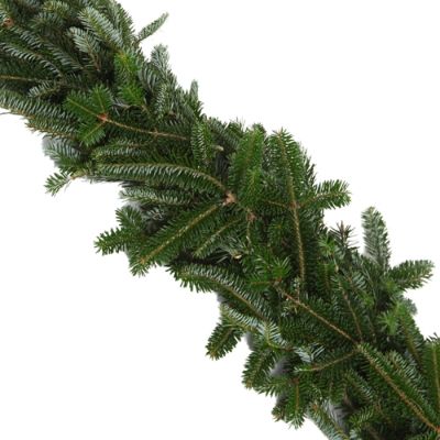 Fresh Timeless Fraser Fir Holiday Garland | Frontgate