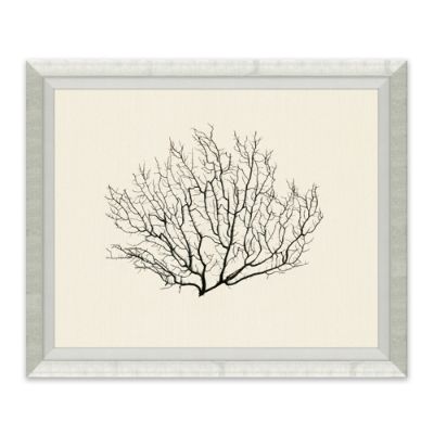 Small Coral Shadow Box | Frontgate