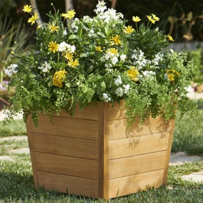 Natural Teak Planter | Frontgate