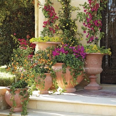 Acanto Planter | Frontgate