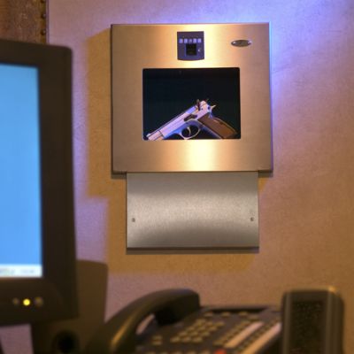 Biometric Wall Safe | Frontgate