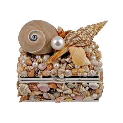 Seashell Decorative Boxes | Frontgate