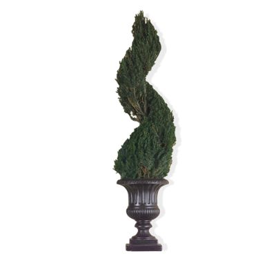 Spiral Topiaries in Decorative Urns | Frontgate