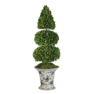 Boxwood Topiary in Rose Trellis Vase | Frontgate