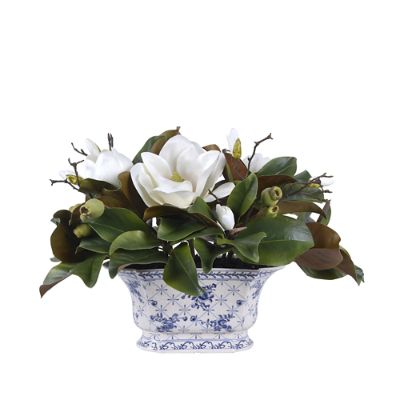Magnolia In Ceramic Pot | Frontgate