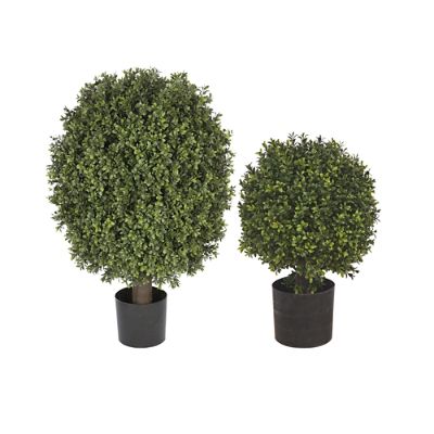 Single Ball Outdoor Boxwood Topiary | Frontgate